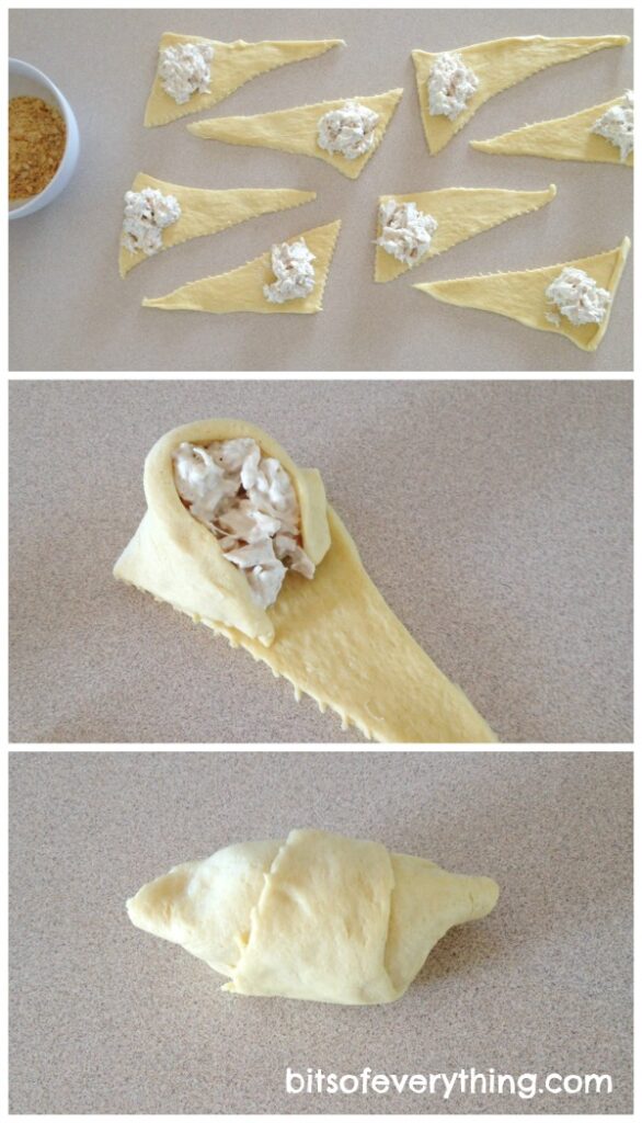 Chicken Roll Ups – Bits of Everything